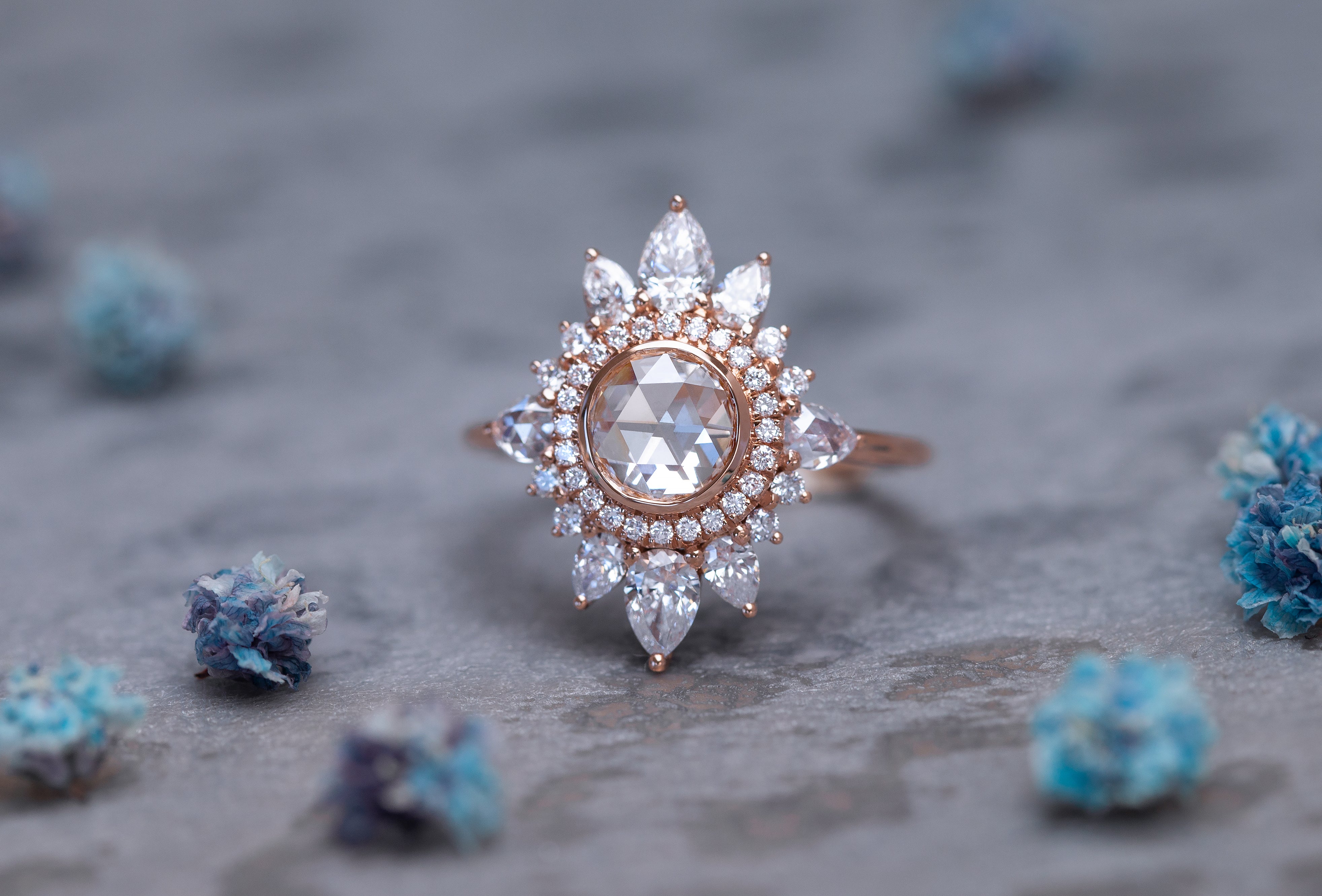 Gravity Ring – Everett